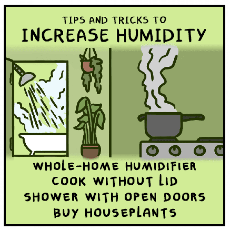 [2025 Update] Ideal Indoor Humidity Guide (Health + Comfort)