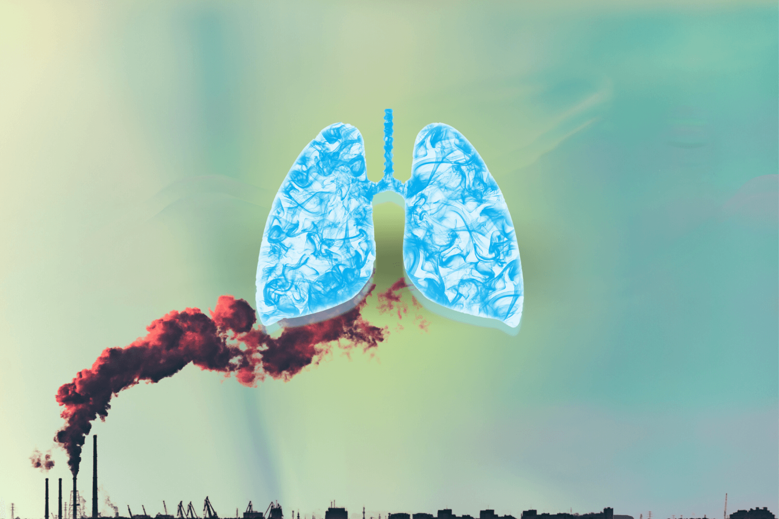 Air Pollution Is a Leading Cause of Lung Cancer - IAQ.Works